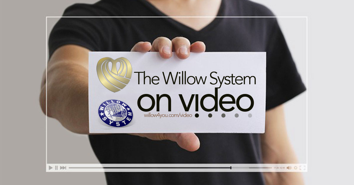 The Willow System On Video: