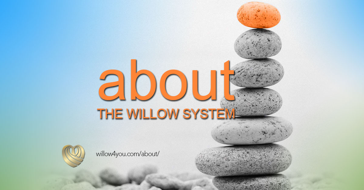 Simply put... The Willow System Is All About You